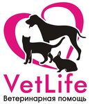 VetLife (Delegatskaya Street No:35, Perm), veteriner klinikleri  Perm'den