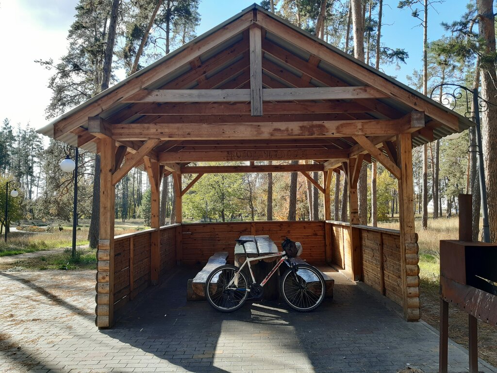 Piknik alanı Место для пикника, Voronejskaya oblastı, foto