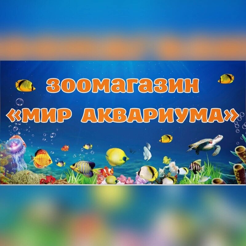 Petshop Aquarium World, Sarov, foto