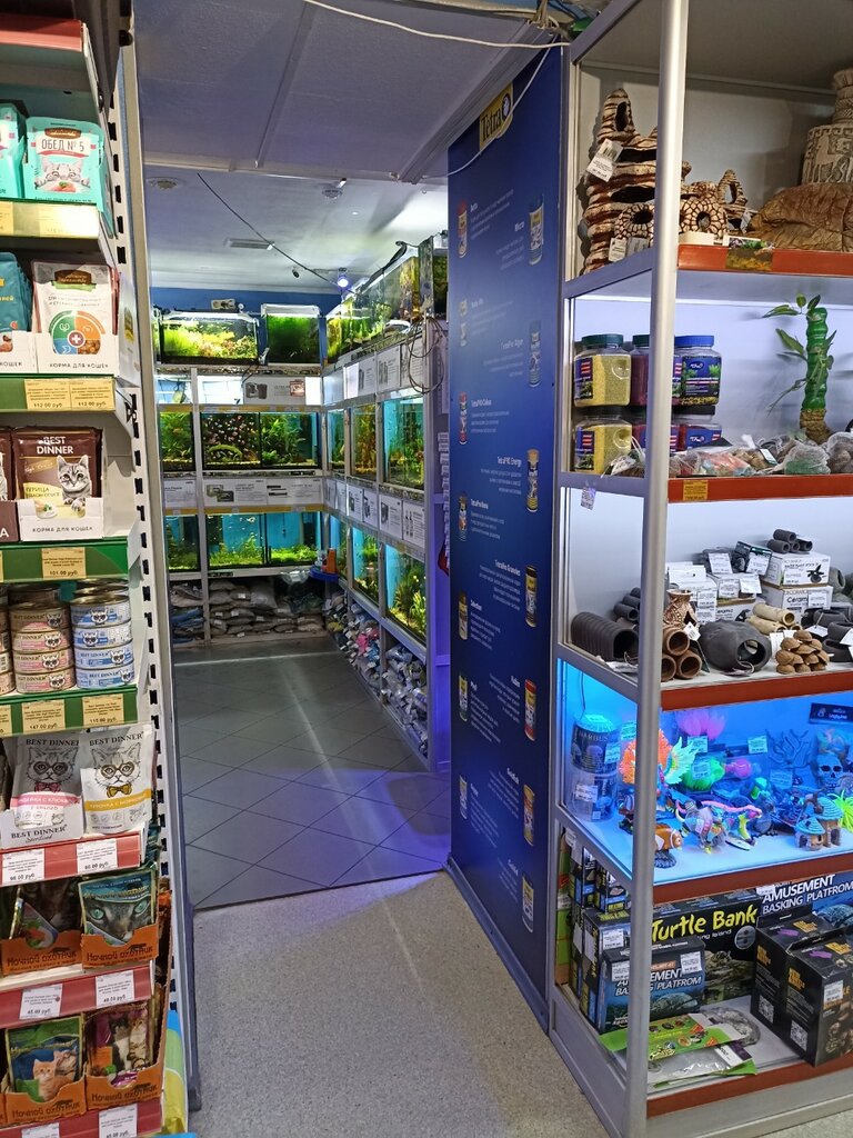 Akvaryumlar Servisny tsentr Tetra, Moskova, foto