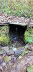 Spring, stream (Moscow Region, Sergiyevo-Posadskiy Urban District, territorialny otdel Bereznyakovskiy), pınar, çay  Moskova ve Moskovskaya oblastından