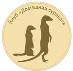 Klub Domashny surikat (улица Масловка No:123, коттеджный посёлок Никологорское, посёлок Николина Гора), hayvanat bahçesi merkezi  Moskova ve Moskovskaya oblastından