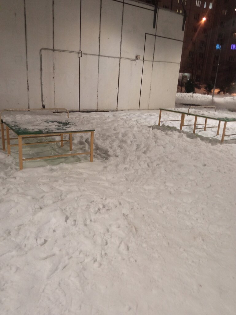 Tenis kulüpleri ve kortları Настольный теннис, Moskova, foto