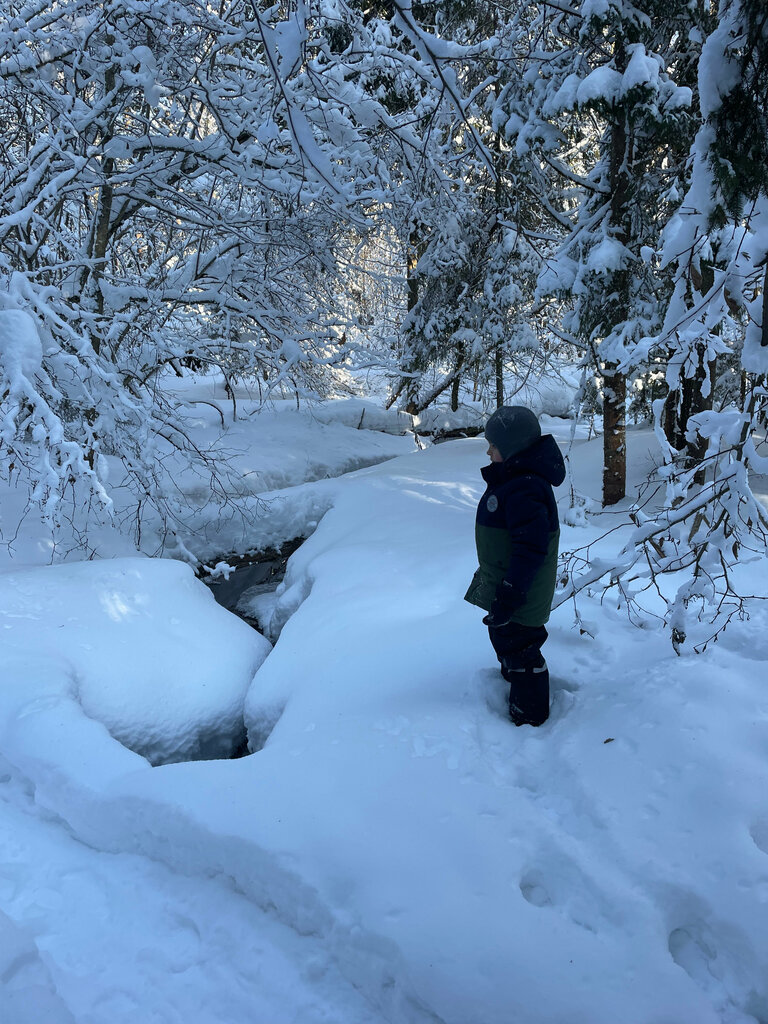 Pınar, çay Spring, stream, Moskova ve Moskovskaya oblastı, foto