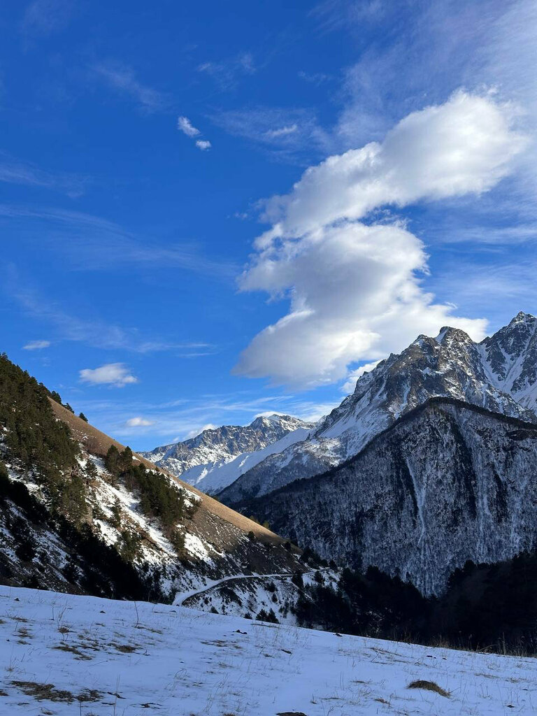 Kafe Urukh, Ip, Kuzey Osetya‑Alanya, foto