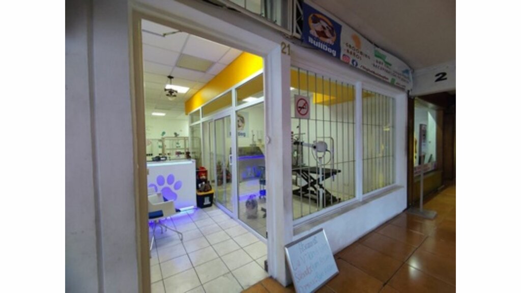 Petshop Digital Bulldog, Guatemala, foto