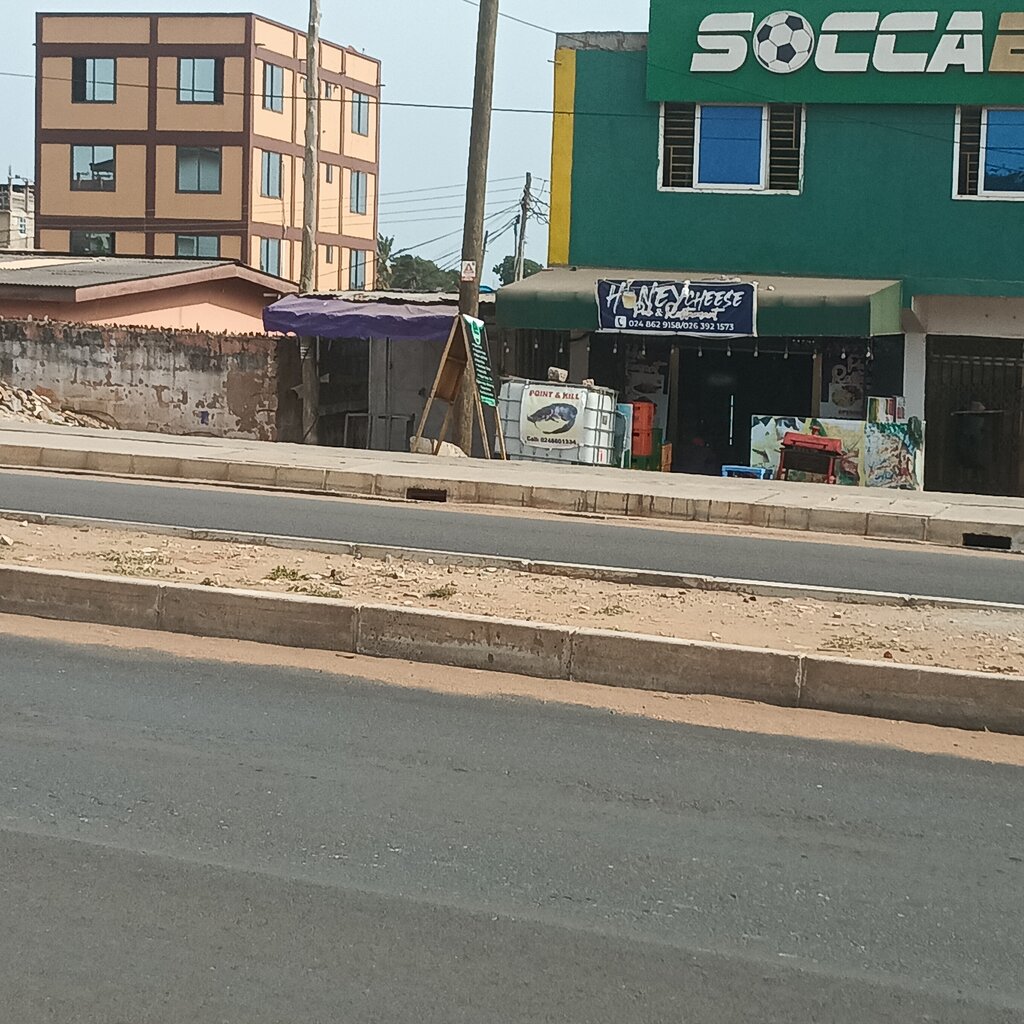 Bar Honey cheese, Dünya, foto