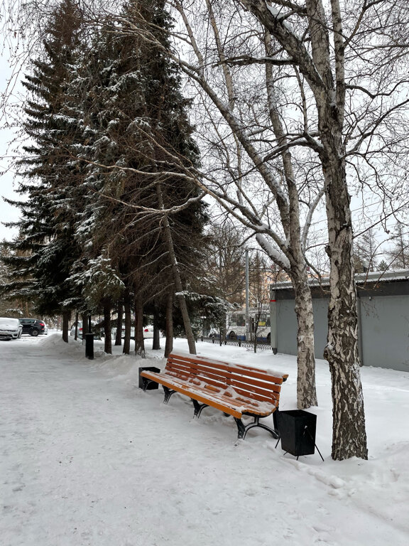 Bank Bench, Omsk, foto
