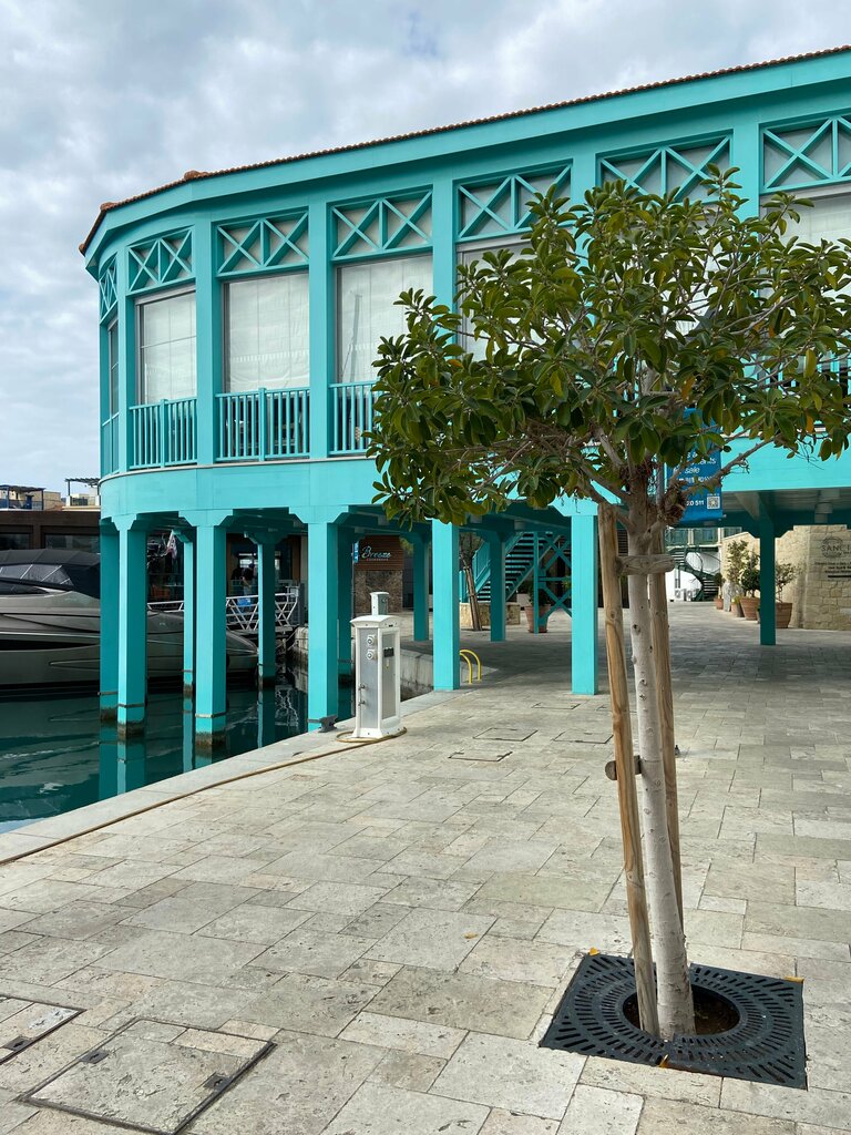 Restoran Pyxida, Limassol, foto
