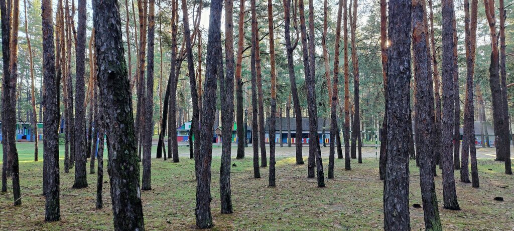 Resort oteller, tesisler Детский оздоровительно-образовательный профильный центр Чайка, Rostovskaya oblastı, foto