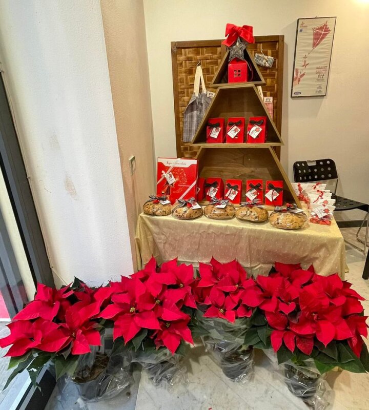 Sivil toplum kuruluşları Ail La Spezia Francesca Lanzone - Associazione italiana contro le leucemie, La Spezia, foto