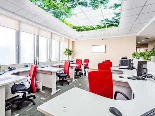 Danışmanlık hizmetleri Pass Mkad consulting, Moskova, foto