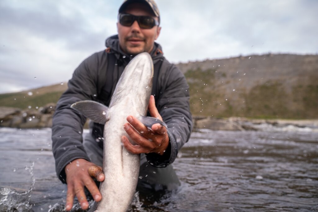 Tatil köyleri Taimyr Travel, Krasnoyarski krayı, foto