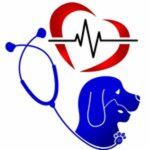 Veterinary (Santander, Municipio de Bucaramanga, Calle 18, 27-22), veteriner klinikleri