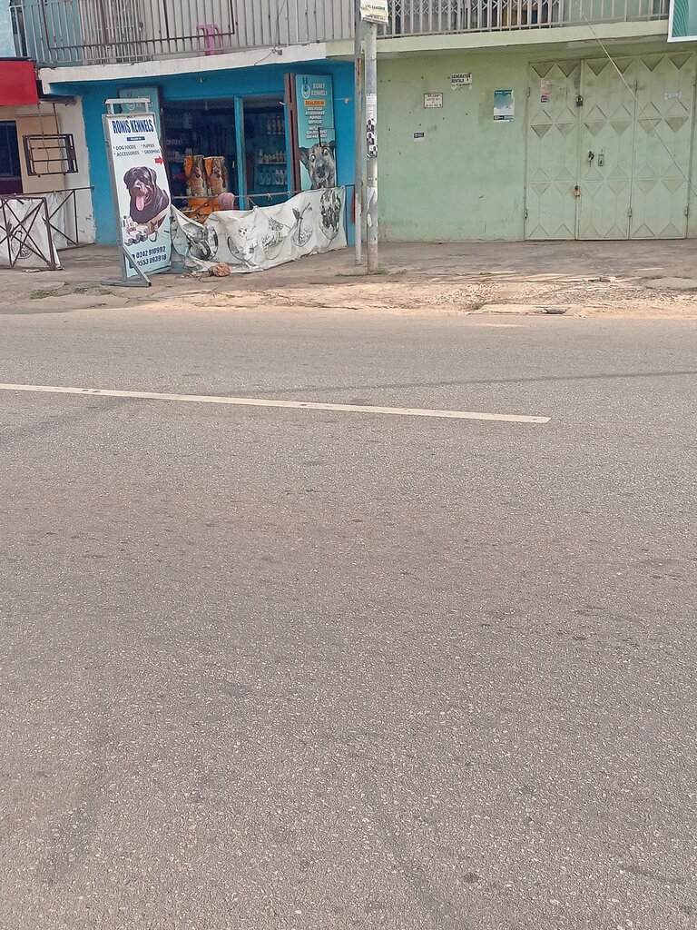 Petshop Ronis Kennels, Akra, foto