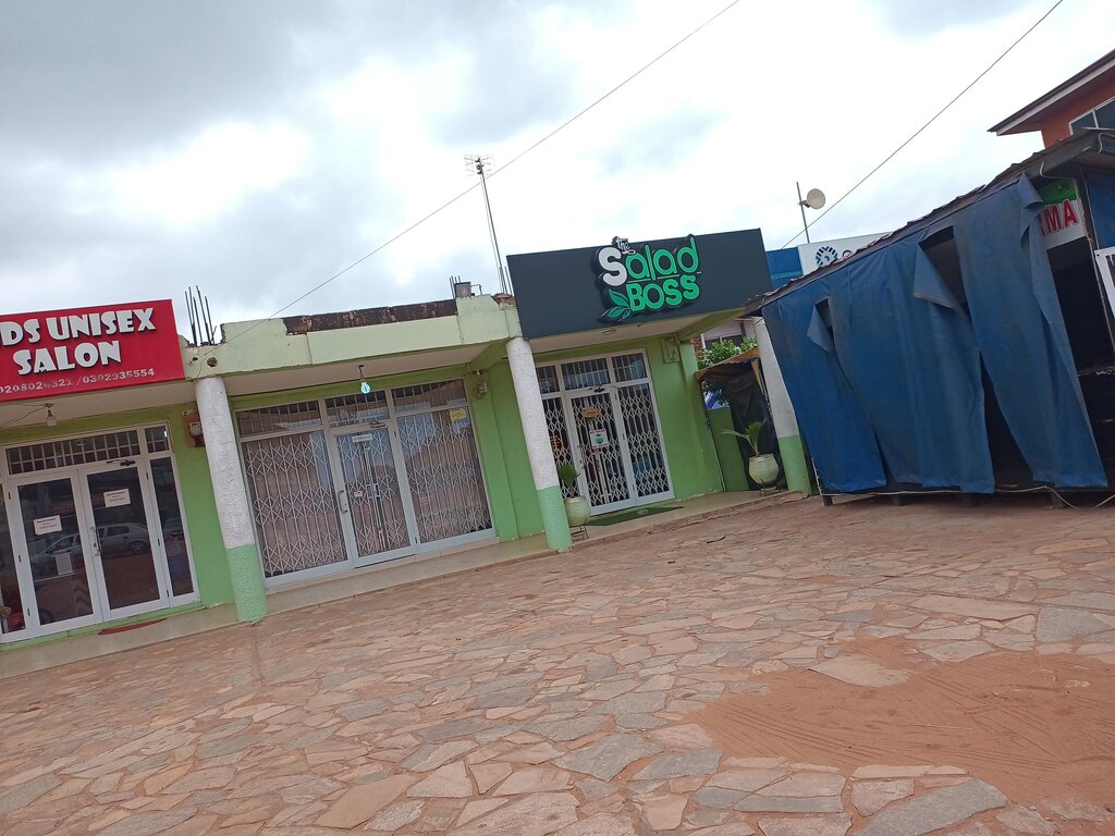 Restoran The Salad Boss, Dünya, foto