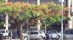 Access Bank (Independence Avenue No:10792), banka  Lusaka'dan