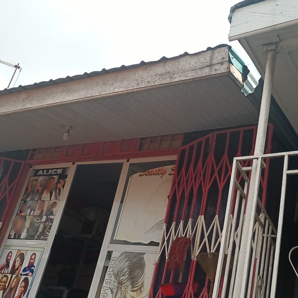 Güzellik salonu Alice, Dünya, foto