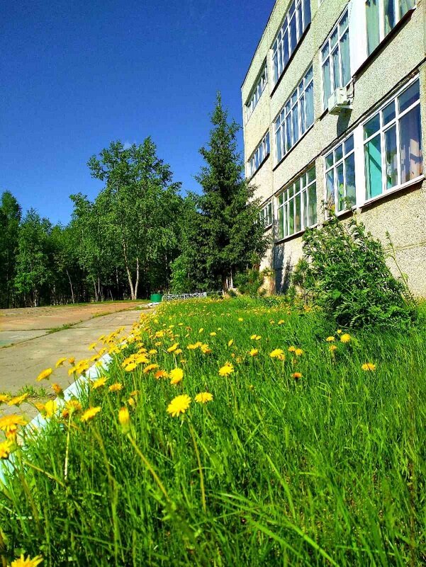 Ortaokul Mbou Srednyaya obshcheobrazovatelnaya shkola № 2, Niagan, foto