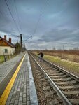 остановочный пункт Дорожный (Kaliningrad Region, Guryevskiy munitsipalny okrug, posyolok Dorozhny), tren istasyonu  Kaliningradskaya oblastından