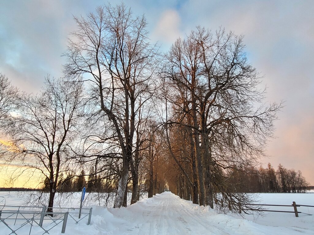 Turistik yerler Въездная аллея, Saint‑Petersburg ve Leningradskaya oblastı, foto