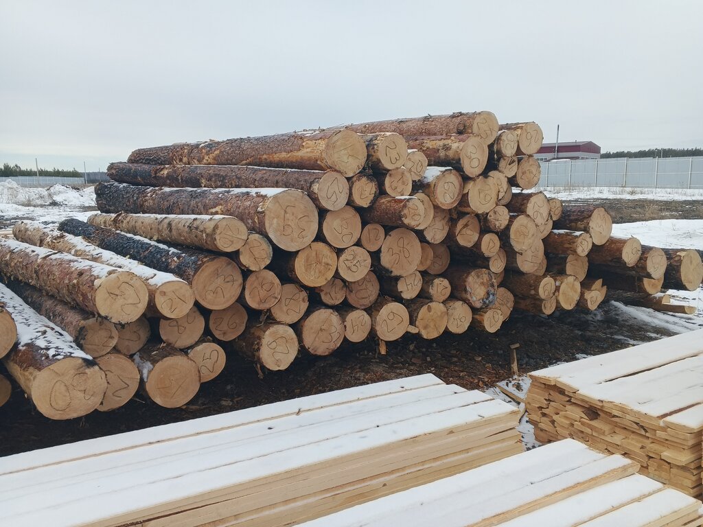 Kereste üretim ve satış şirketleri Forest 8, Yekaterinburg, foto