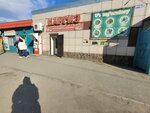 Nargiz (Telman street No:145А), kantin, yemekhane  Semey'den