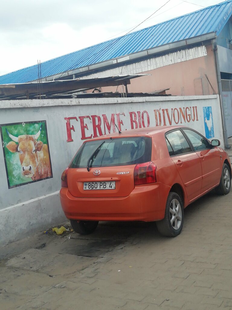 Gıda pazarı Ferme Bio Divongui, Brazzaville, foto