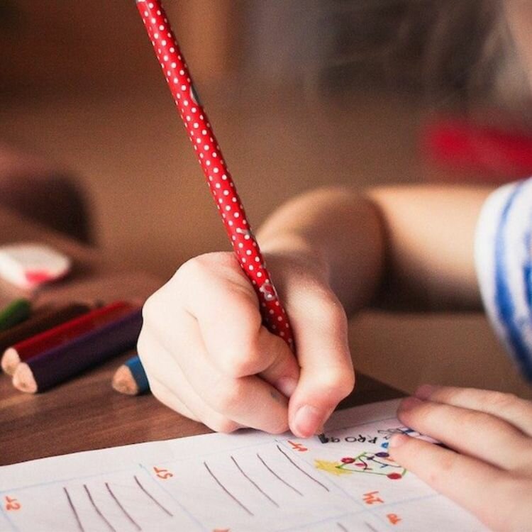 Özel okul Colrioja Colegio La Rioja De Giron, , foto