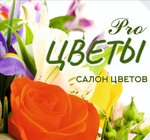 Procvety (Simferopolskaya Street No:49к2, Podolsk), çiçekçiler  Podolsk'tan