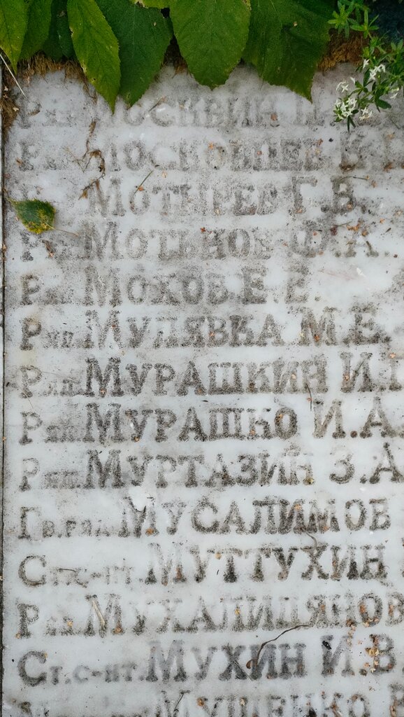 Anıt, heykel Памятник, Karelya, foto