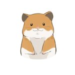 Hamster Kingdom (Tsentralnaya Street No:88), evcil hayvan yetiştiricileri  Krasnogorsk'tan