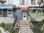 Ателье (Geroev Desantnikov Street No:24), terziler  Novorossiysk'ten