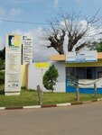 Cnps (Abidjan, La commune Yopougon, Quartier de la Sogefhia Kouté), sosyal grup  Abican'dan