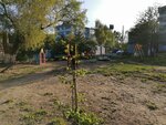 Playground (Omsk, Tsentralniy District), oyun alanı  Omsk'tan