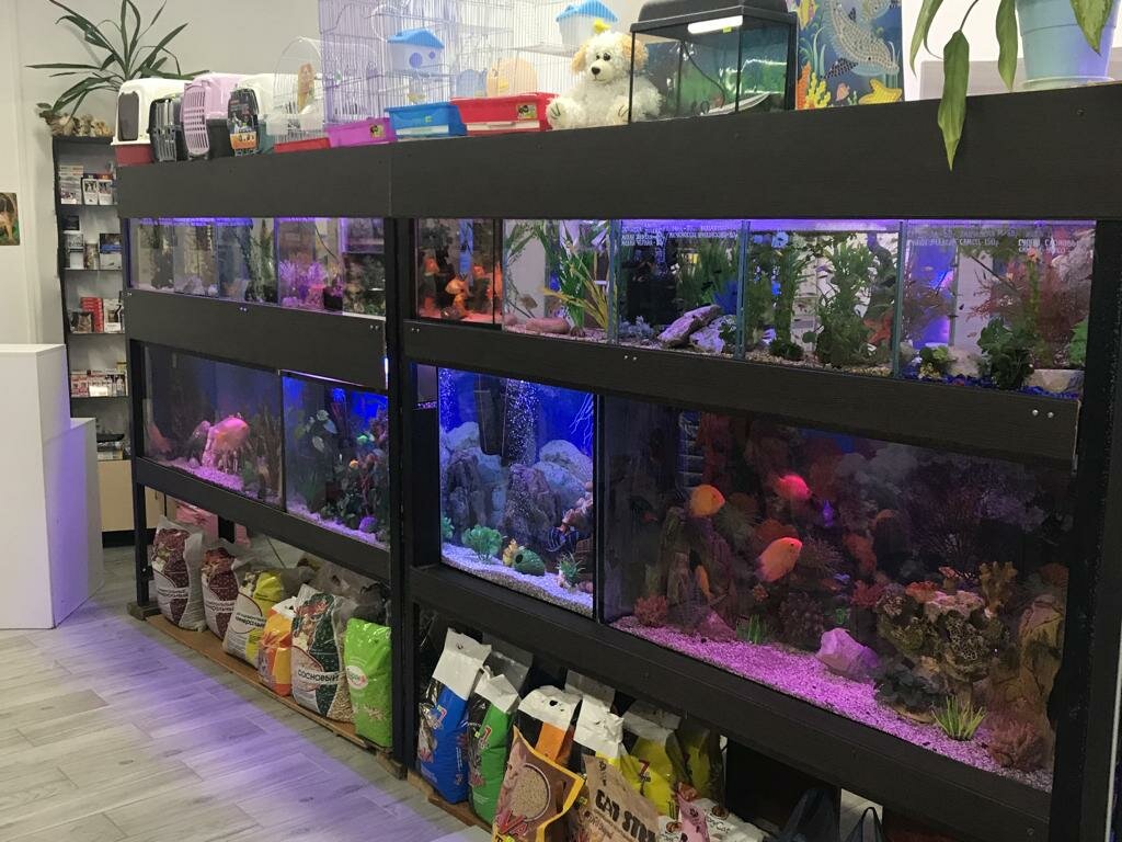 Petshop Немо, Yekaterinburg, foto