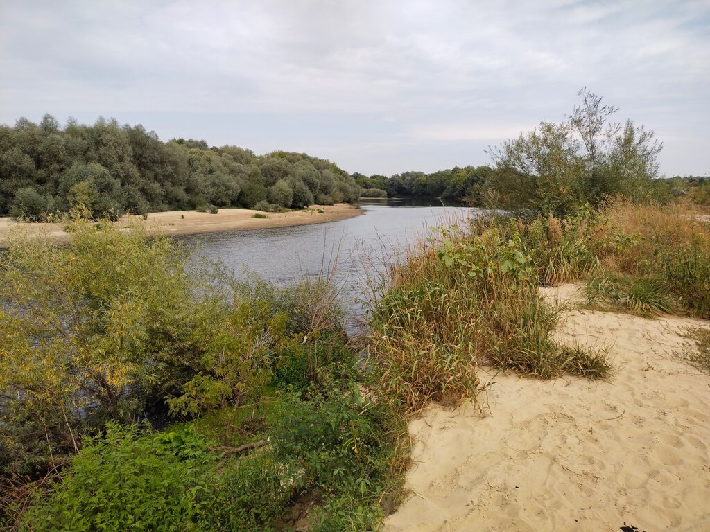 Plaj Пляж, Brianskaya oblastı, foto