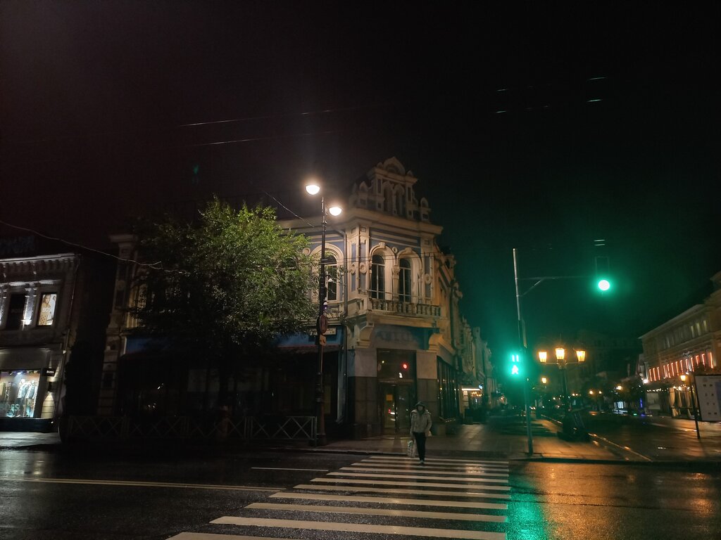 Turistik yerler Особняк Л.Н. Покидышева, Samara, foto