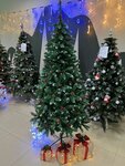 TrotsShop (ulitsa Lenina No:1А), yapay çam ağaçları ve süsleri  Almetyevsk'ten (Elmet'ten)