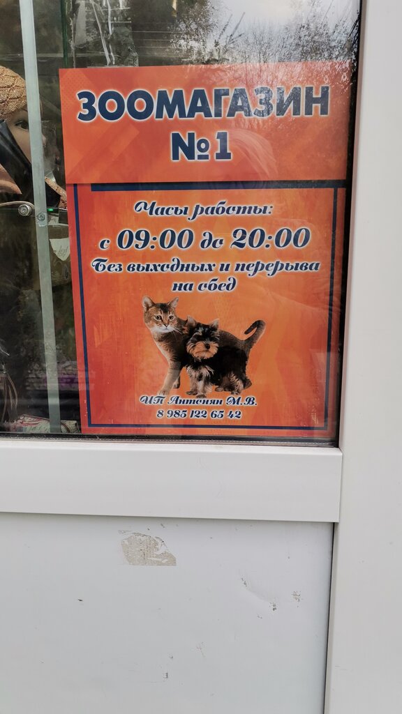 Petshop Мотя, Çehov, foto