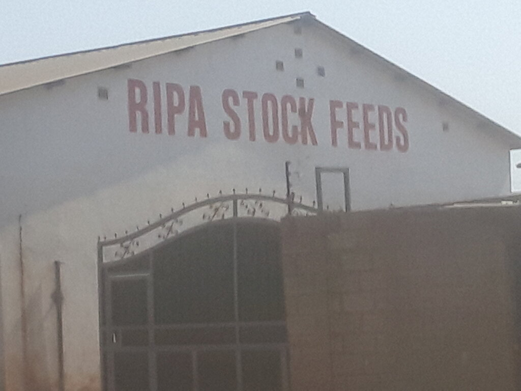 Tarımsal altyapı Ripa stock feeds, Dünya, foto