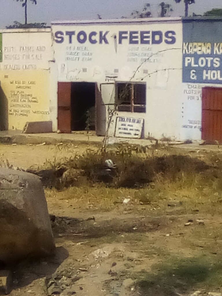 Tarımsal altyapı Stock feeds, Dünya, foto