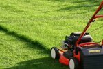 Bommer Reinigungen AG (Gartenstrasse No:28, Baden), temizlik şirketleri  Baden'den