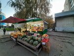 Овощи и фрукты (Odesskaya Street No:2), manavlar  Penza'dan