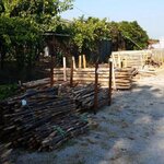 Impresa Boschiva di Lettieri Esterina (Campania, Salerno, Capaccio, Paestum), ahşap endüstrisi  Campania'dan