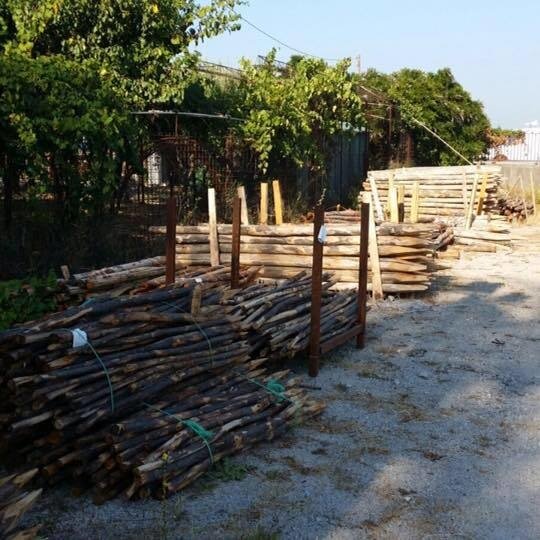 Ahşap endüstrisi Impresa Boschiva di Lettieri Esterina, Campania, foto