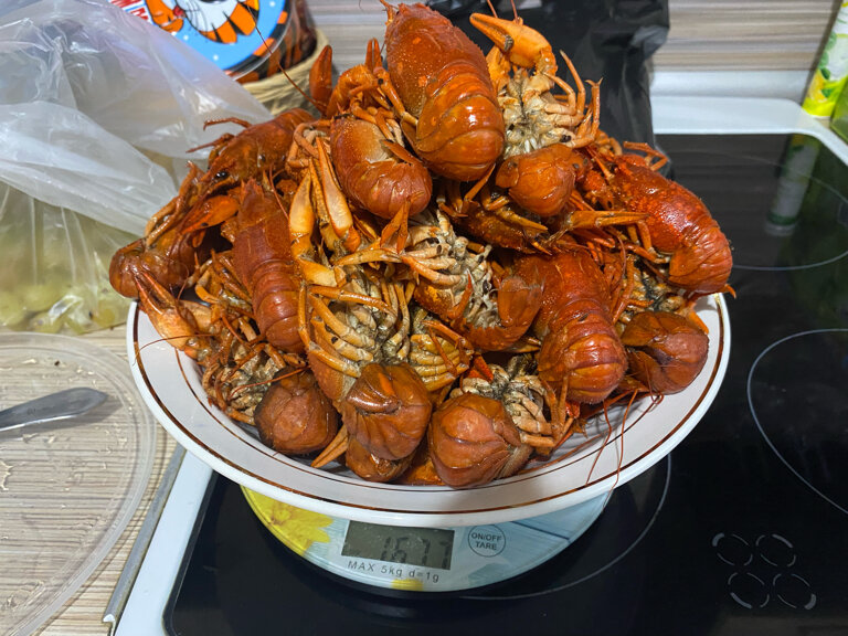 Balık ve deniz ürünleri Раки и морепродукты, Nijni Novgorod, foto