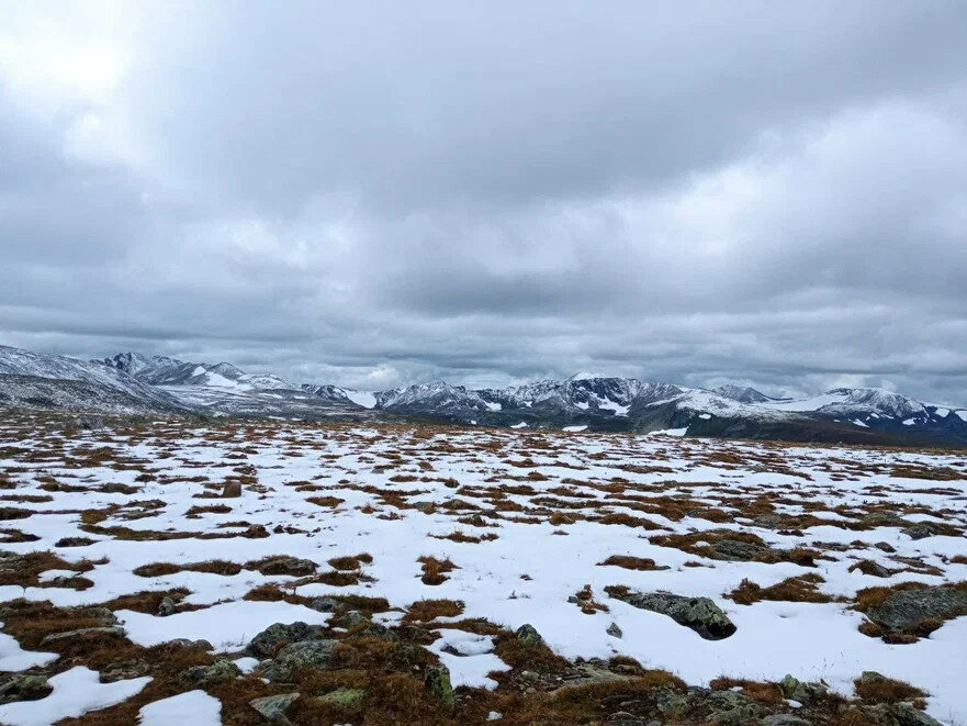 Dağ zirvesi Гора Королевский Белок, Altayski krayı, foto