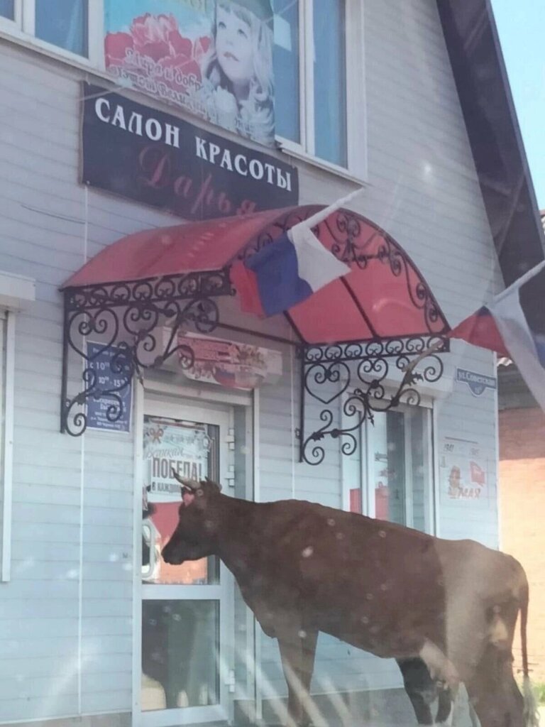 Güzellik salonu Дарья, Omskaya oblastı, foto