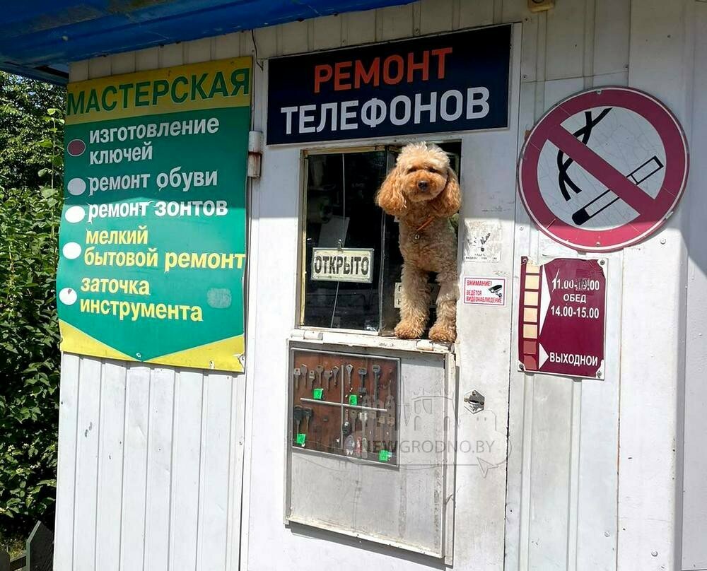 Anahtarların imalatı ve onarımı Ремонт зонтов, Grodno, foto